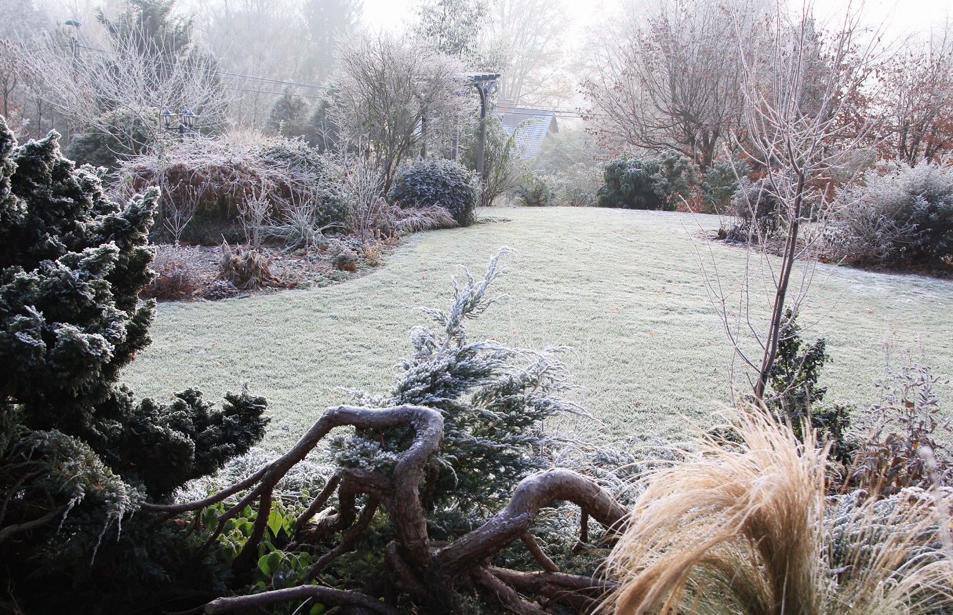 Ambiance givrée – A La Croisée Des Mondes